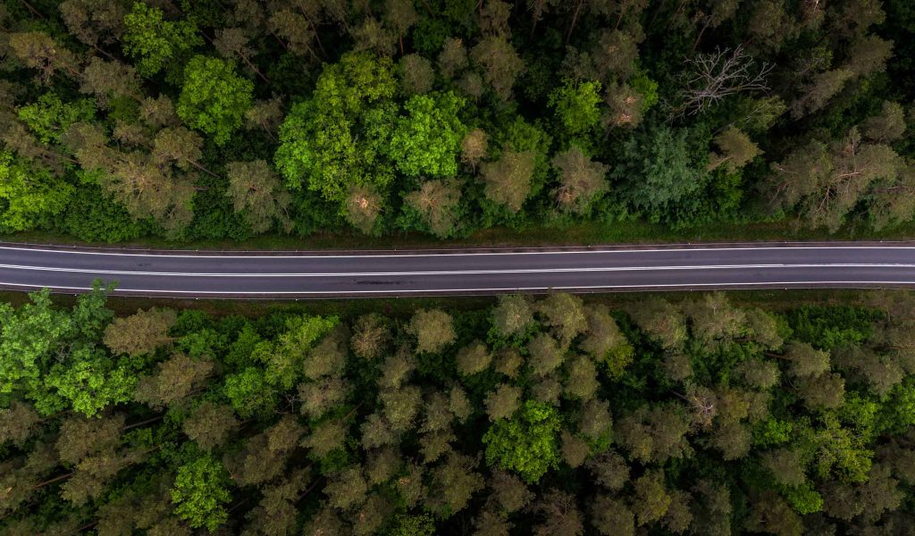 Drive Green - The largest EV Specialist in the UK